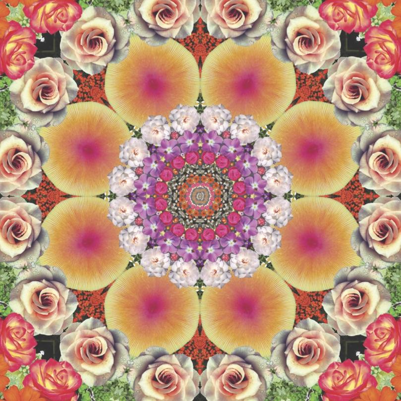 PROSPERITY // Flower Mandala – Jamila Starwater