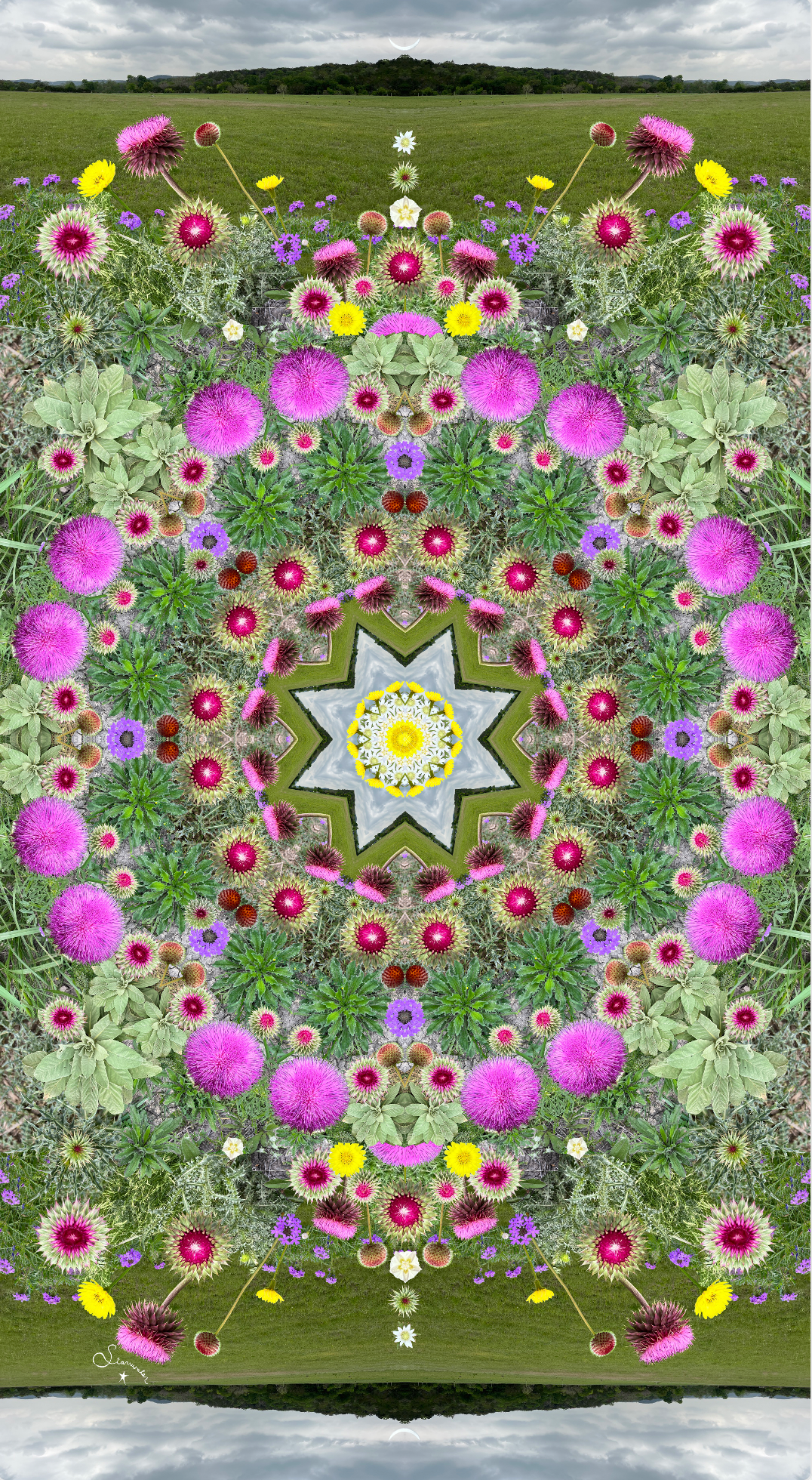 Silk Wraps - Flower Mandala Series – Jamila Starwater