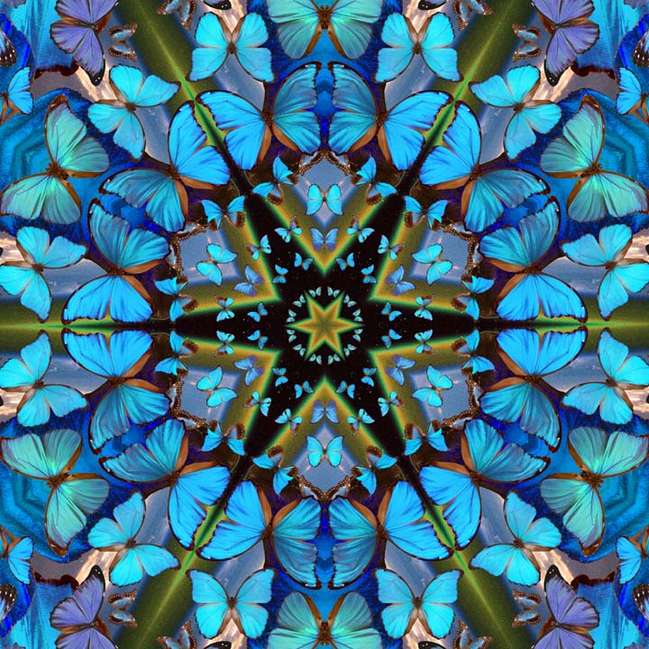 DESTINY // Blue Butterfly Mandala Travel + Hot Yoga Mat – Jamila Starwater