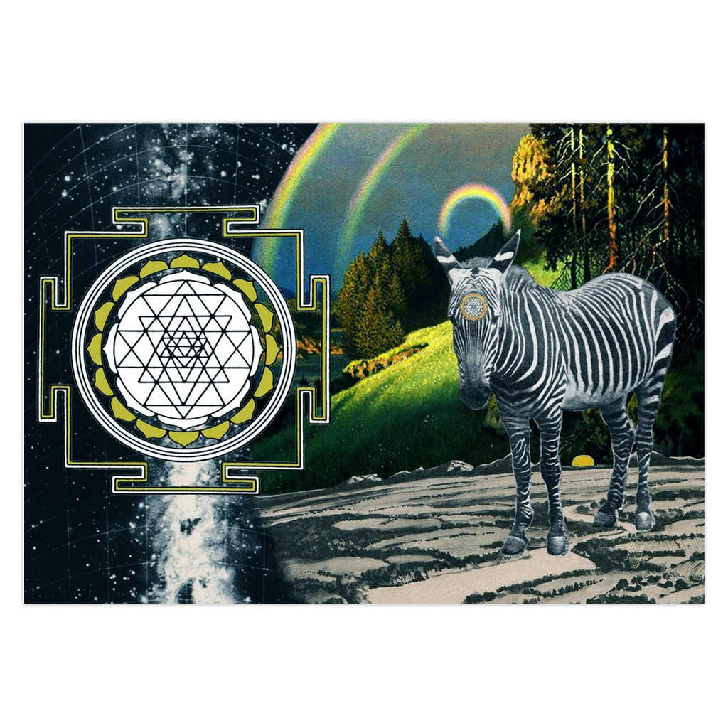 Zebra Magic Greeting Cards Set of 5 – Jamila Starwater
